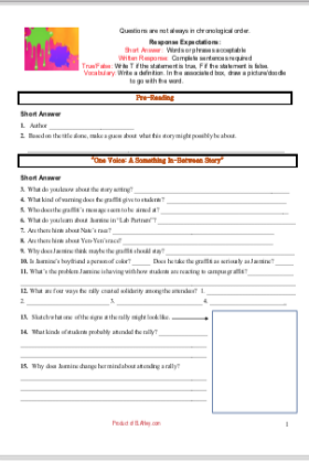 Fresh Ink: "One Voice: A Something In-Between Story" No-Prep Workbook ...