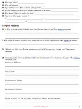 Black Enough: No-Prep Workbook & Essay for "Whoa!" (by Williams-Garcia ...