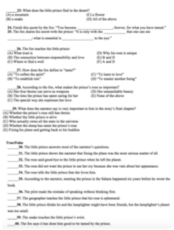 The Little Prince: Whole Novel Test – ELA Hwy