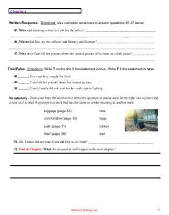 Cam Jansen and the Birthday Mystery by David Adler: Reading Comprehens ...