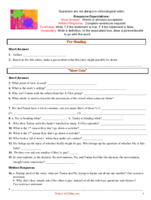Fresh Ink: "Meet Cute" No-Prep Workbook (by Lo) – ELA Hwy